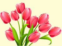 Раскраска тюльпан скачать и распечатать